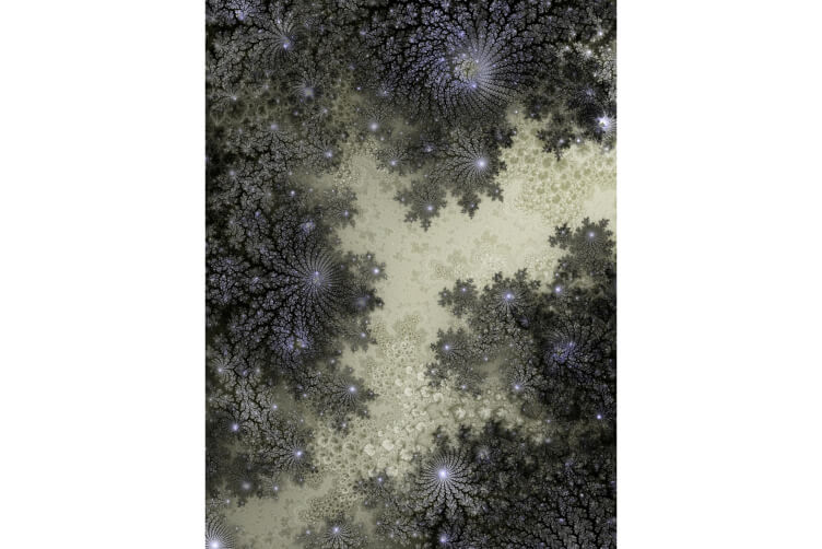 AWT FOCUS | ART WEEK TOKYO | NOVEMBER 5–9, 2025